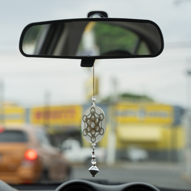 Car Hangers – 313 London